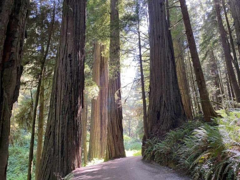 San Francisco to Seattle Road Trip Itinerary for 2025