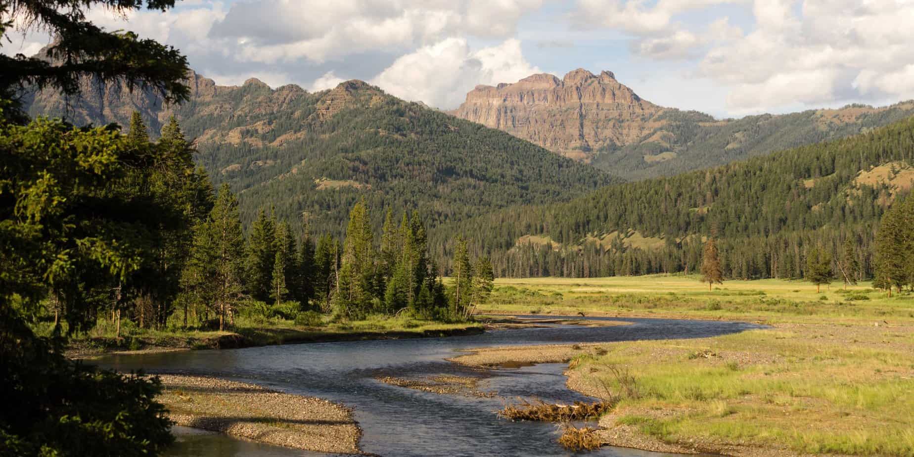 Ultimate Los Angeles to Yellowstone Road Trip Itinerary 2025